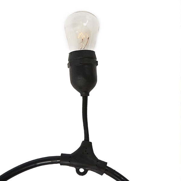 Market Strand Lights - Sierra Rental Company